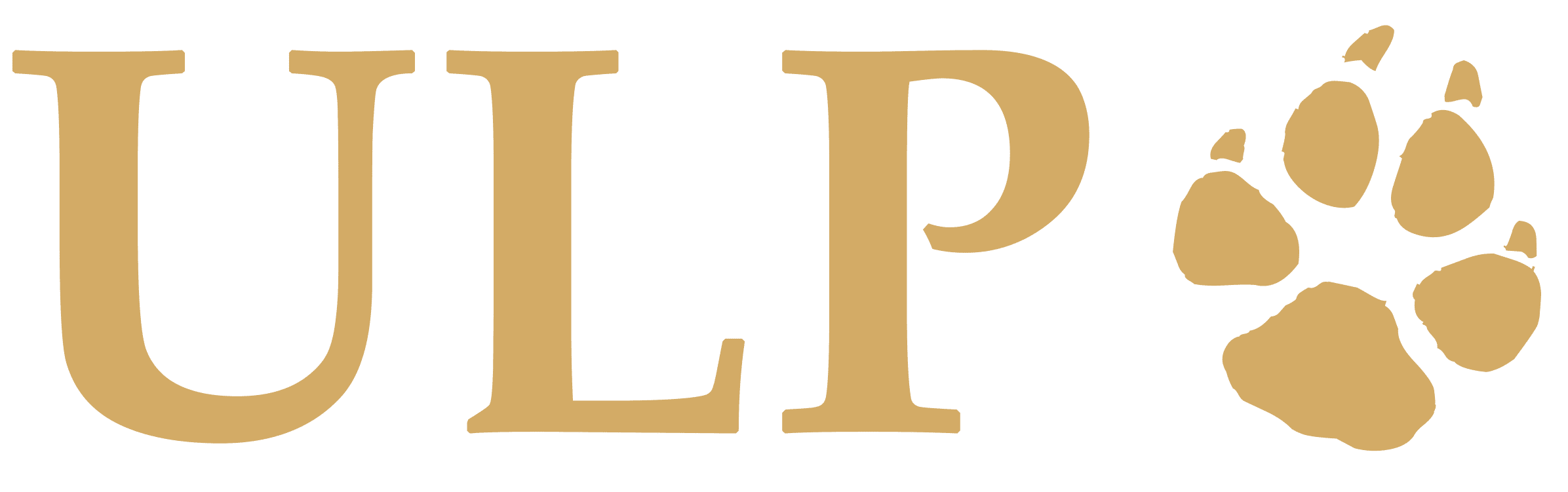 Unleashing Leadership Potential - Home